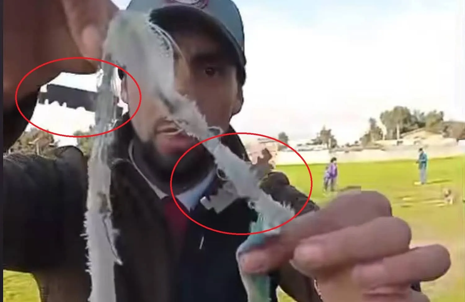 Volantines con hojas de afeitar y uso de hilo curado comprometen la ...