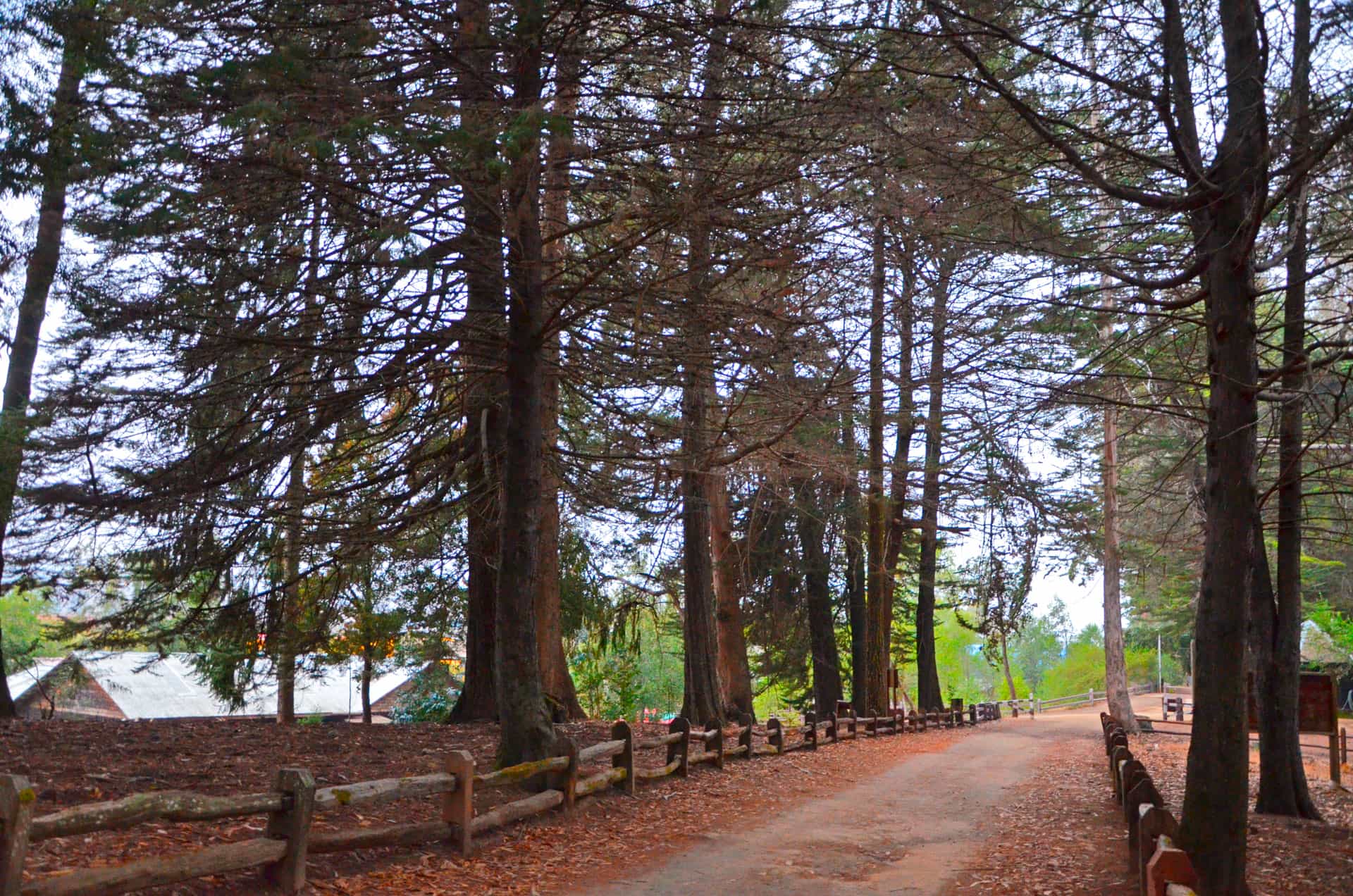 Día de los Patrimonios: 18 parques y reservas del país tendrán acceso gratuito este 24 y 25 de ...