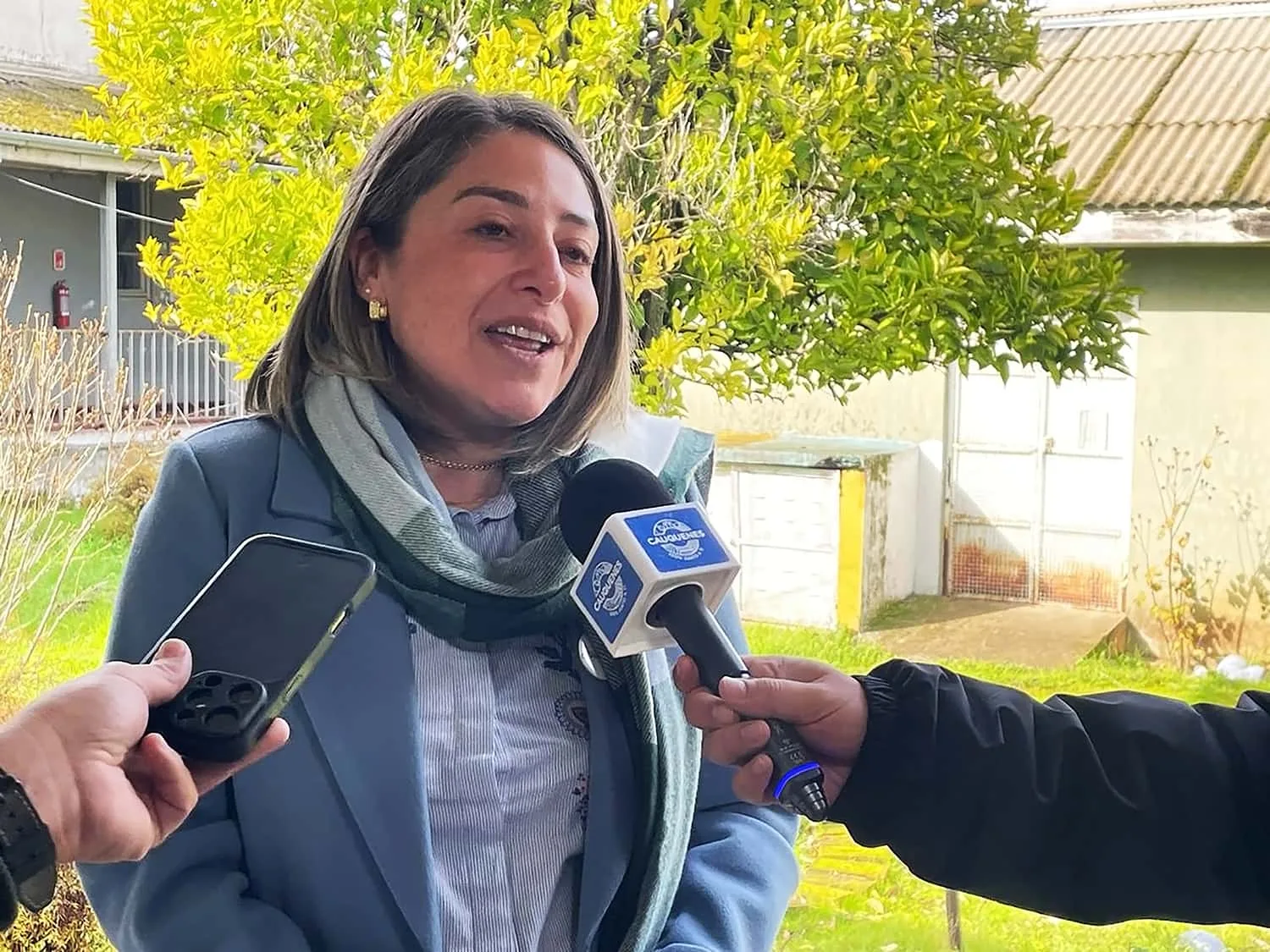 Seremi de Salud del Maule confirma casos de escarlatina en la región y ...