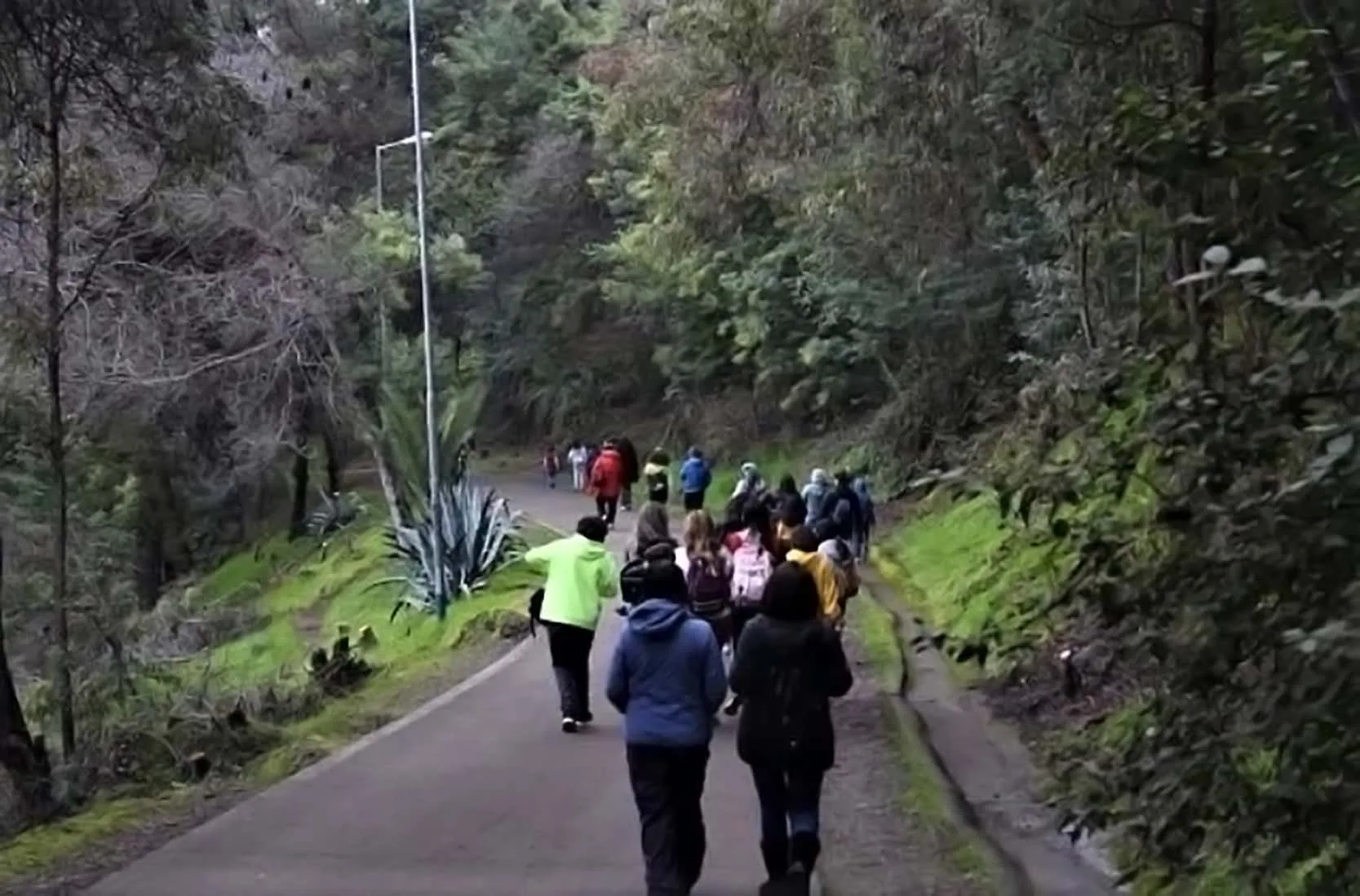 El tradicional paseo al cerro Condell vuelve a reunir a las familias ...