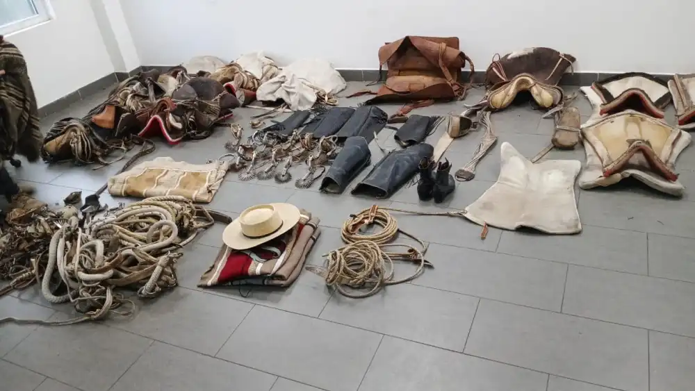 Carabineros detiene a tres sujetos tras robo de aperos avaluados en más ...